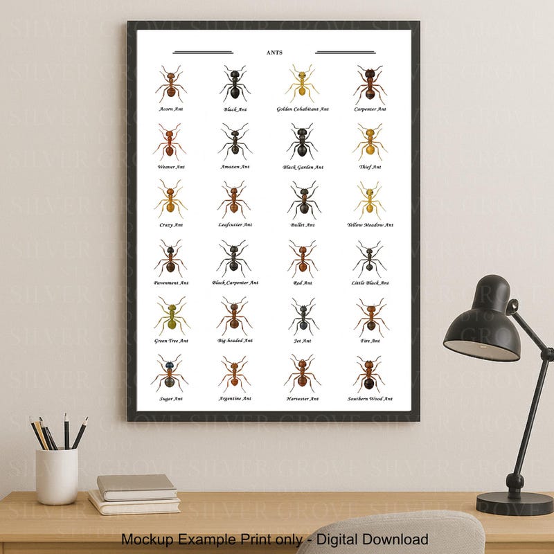 Ants - Etsy