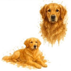 Golden Retriever Clipart Bundle | Watercolor Dog Pngs for Crafts and ...
