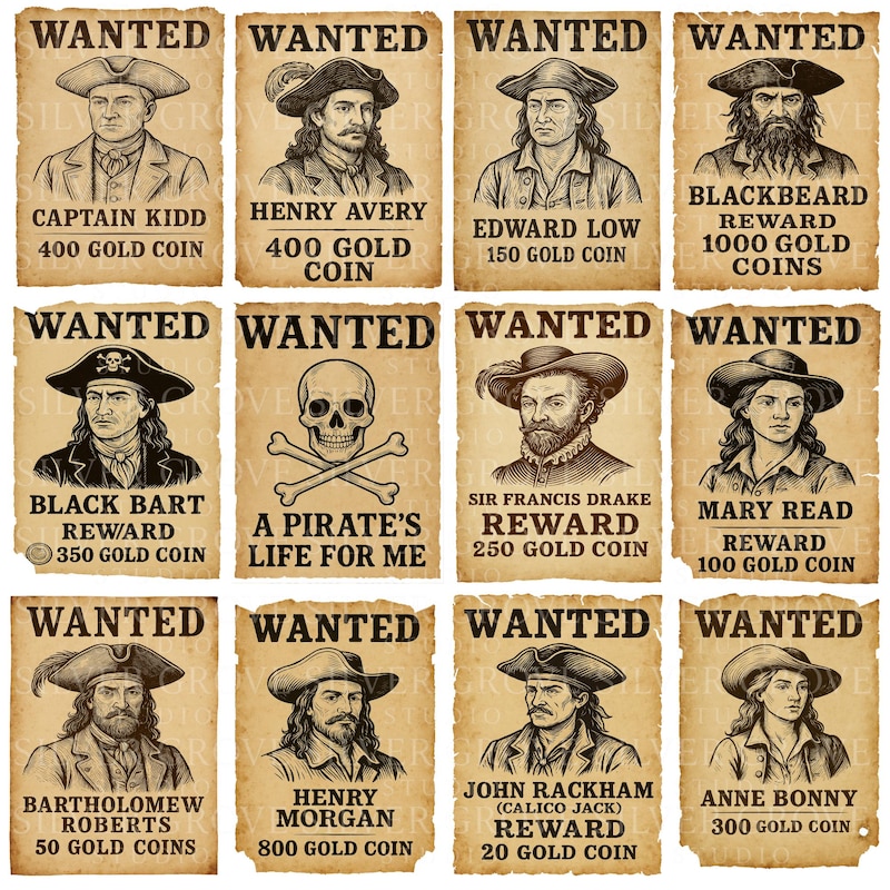 Historical Pirate Decor - Etsy