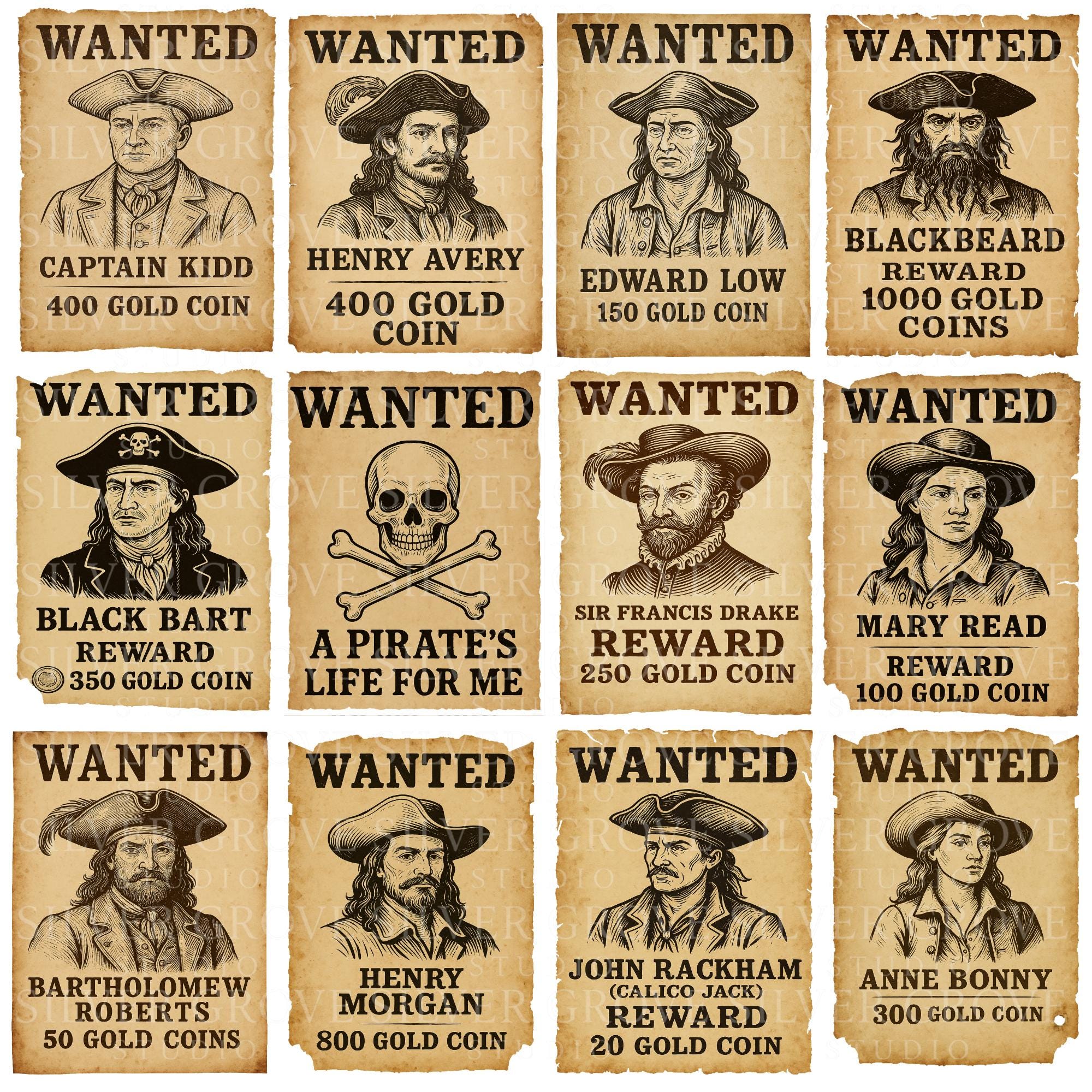 Pirate Wanted Poster Bundle: Themed Party Decor (digital Download ...