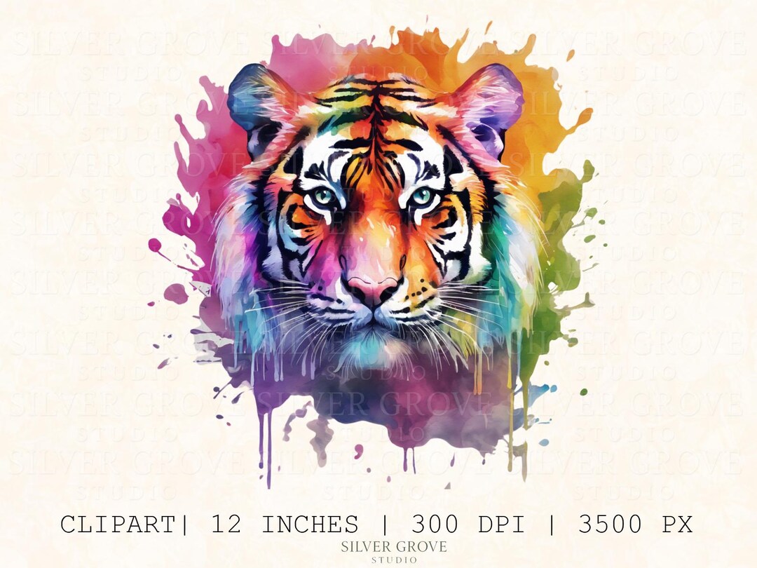 5 Rainbow Animal Clipart – Watercolor Animal Faces PNG – Color Splash ...