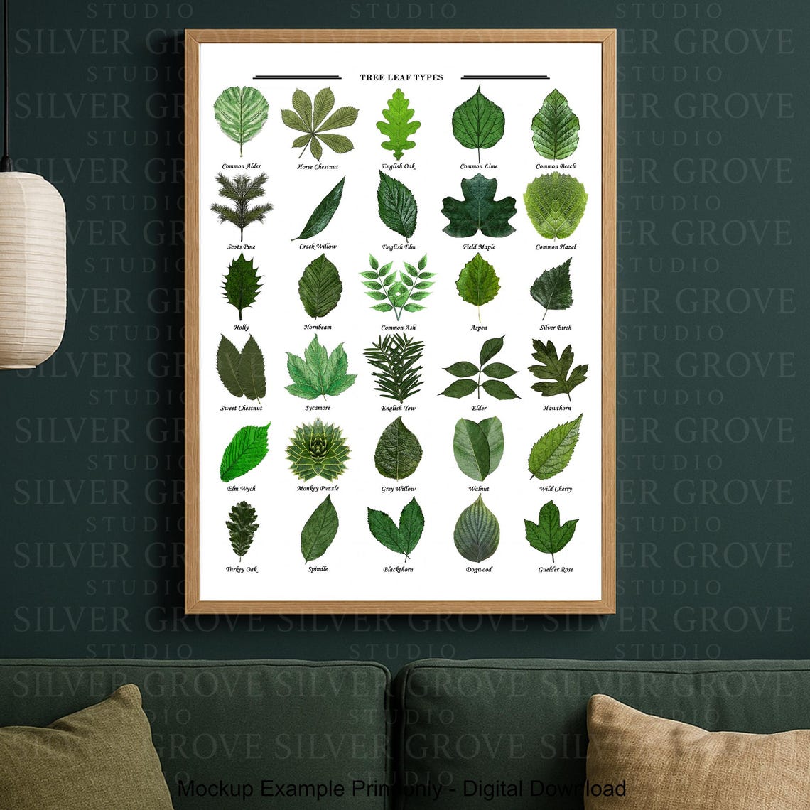 UK Tree Leaf Identification Chart: A3 Nature Poster (digital Download ...