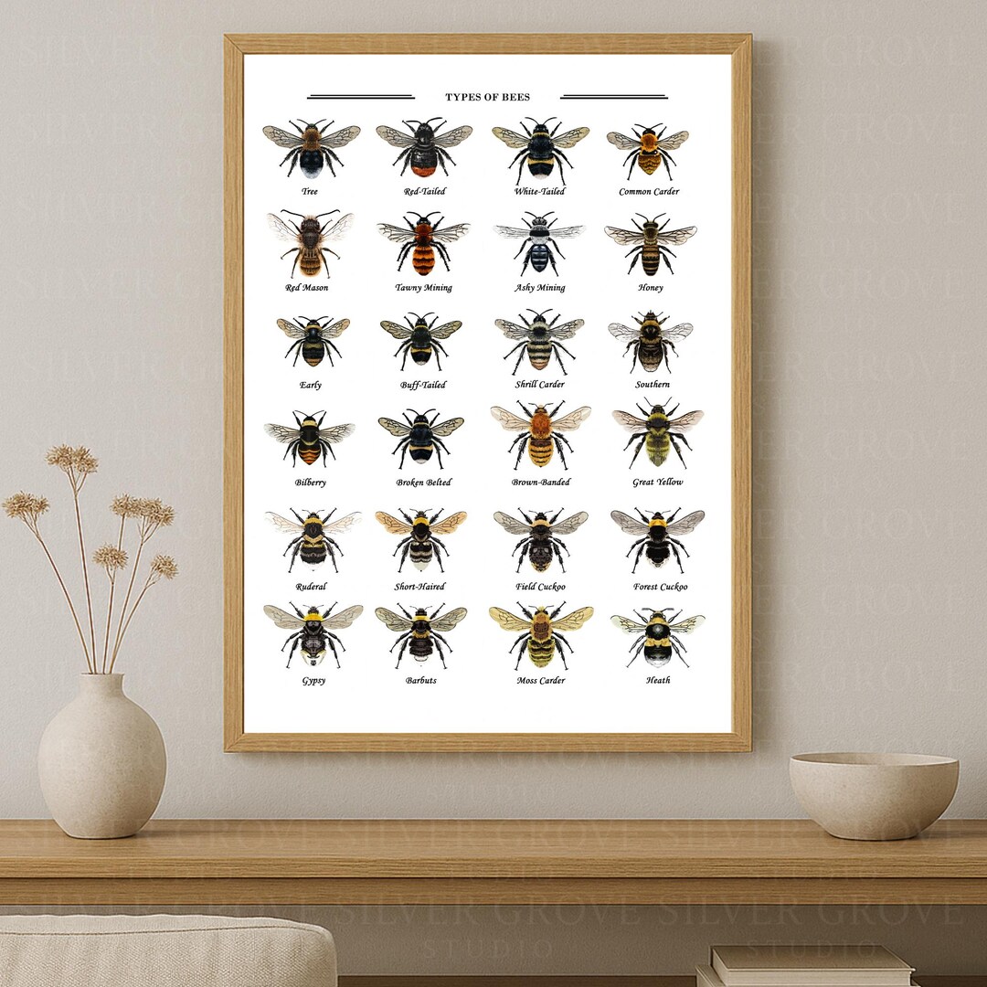 Types of Bees Identification Chart – Digital Printable Bee Guide ...