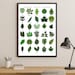 UK Tree Leaf Identification Chart: A3 Nature Poster (digital Download ...