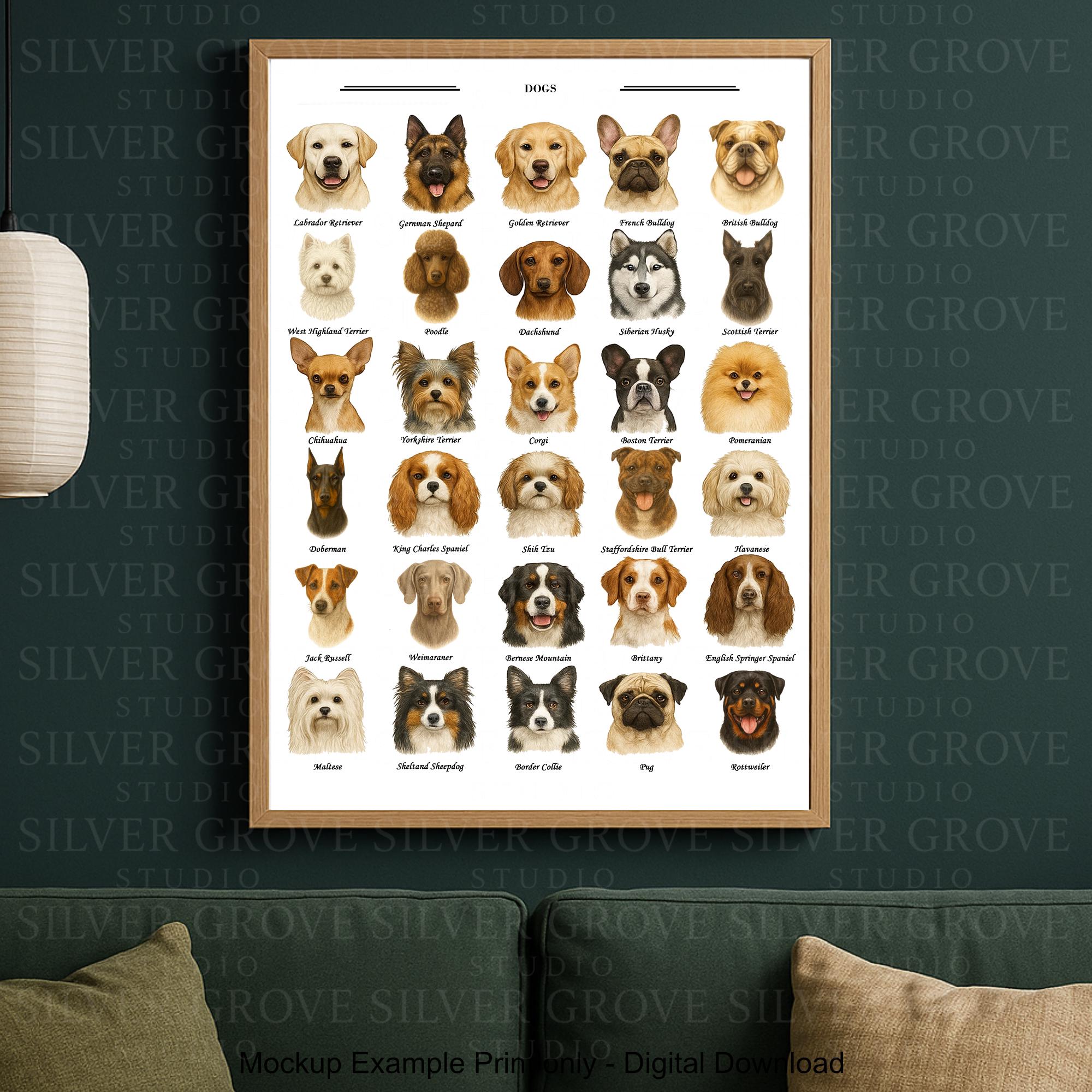 Dog Breeds Poster: Illustrated Puppy Identification Chart (digital ...