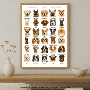 Dog Breeds Poster: Illustrated Puppy Identification Chart (digital ...