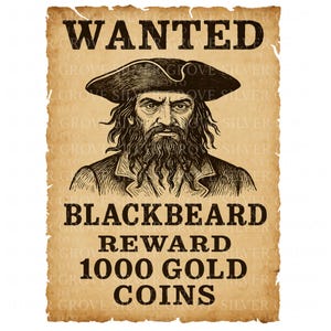 Pirate Wanted Poster Bundle: Themed Party Decor (digital Download ...