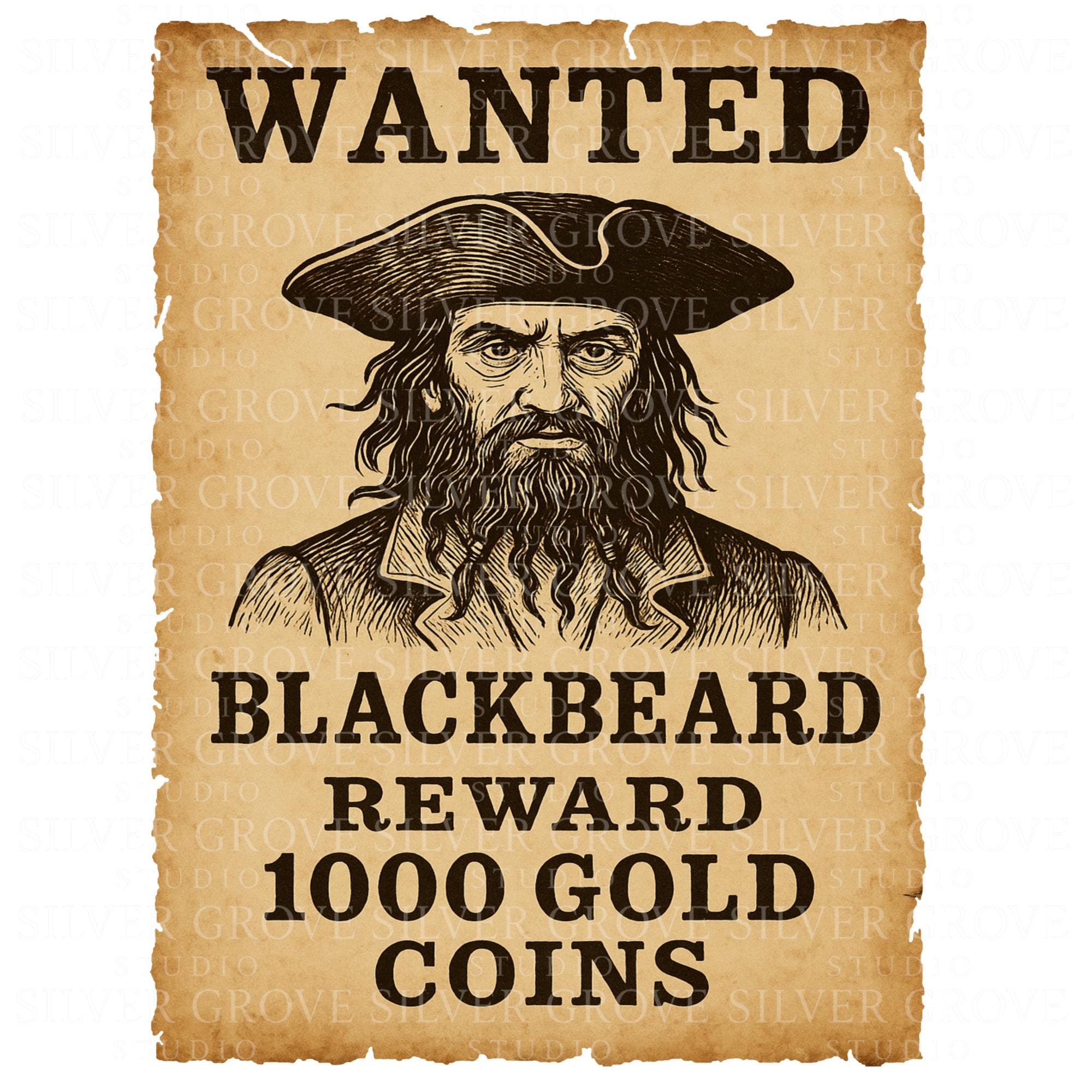 Pirate Wanted Poster Bundle: Themed Party Decor (digital Download ...