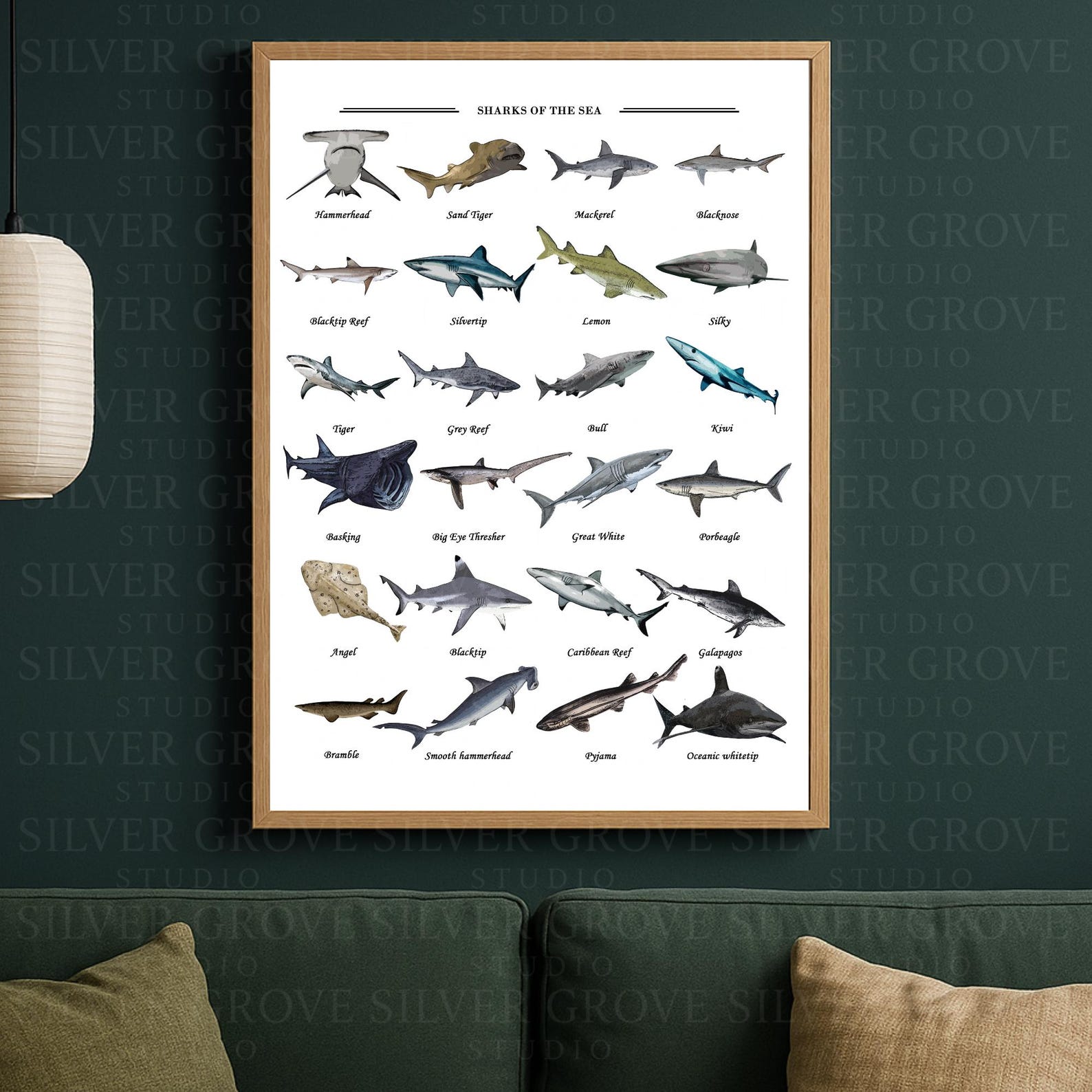 Shark Species Identification Poster: Deep Sea Marine Life Chart ...
