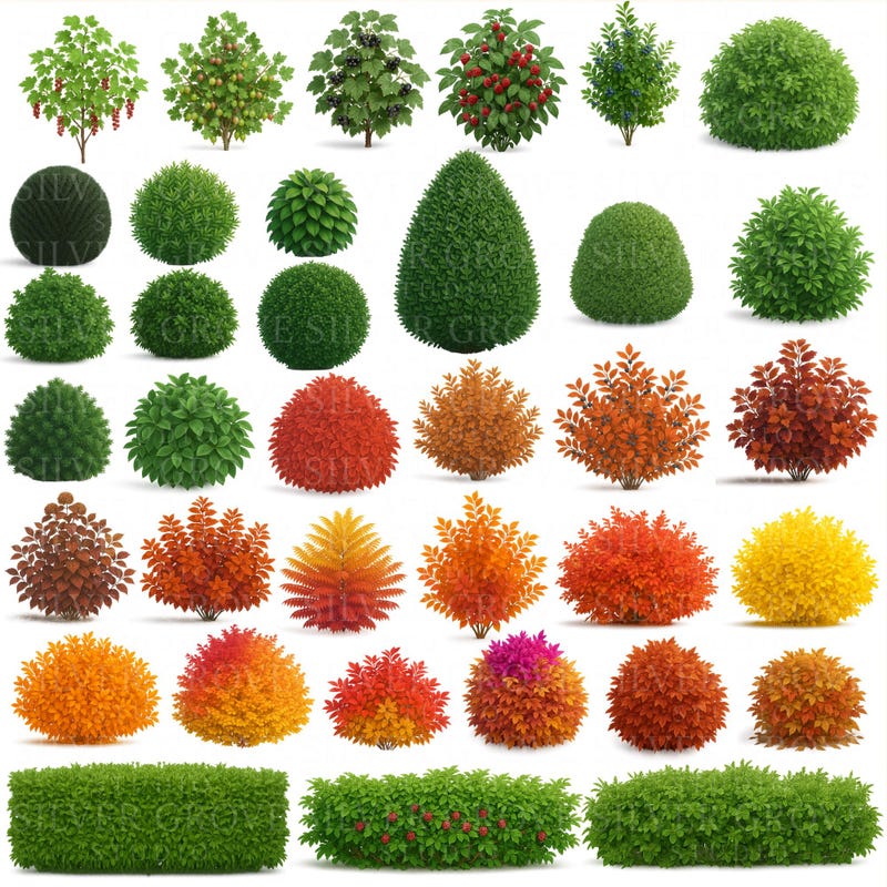 Clipart Shrub - Etsy