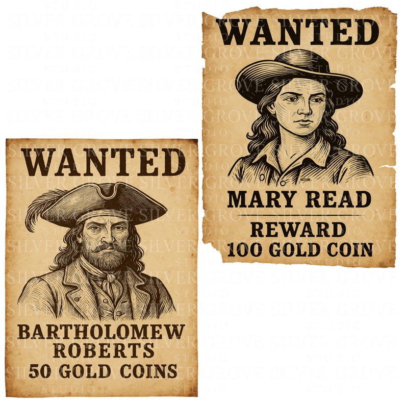 Pirate Wanted Poster Bundle: Themed Party Decor (digital Download ...