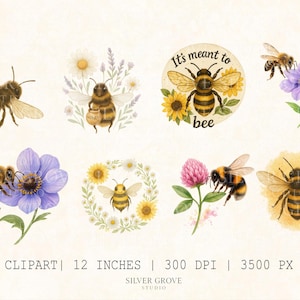 Watercolor Bee Clipart Bundle: Bumblebee & Flower Pngs (instant ...