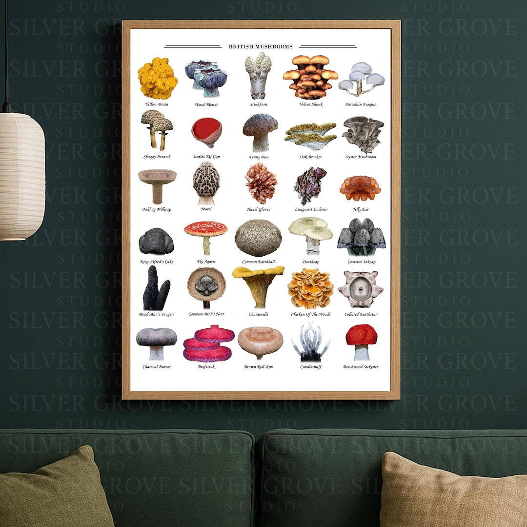 British Mushrooms Identification Chart – Digital Printable Mushroom ...