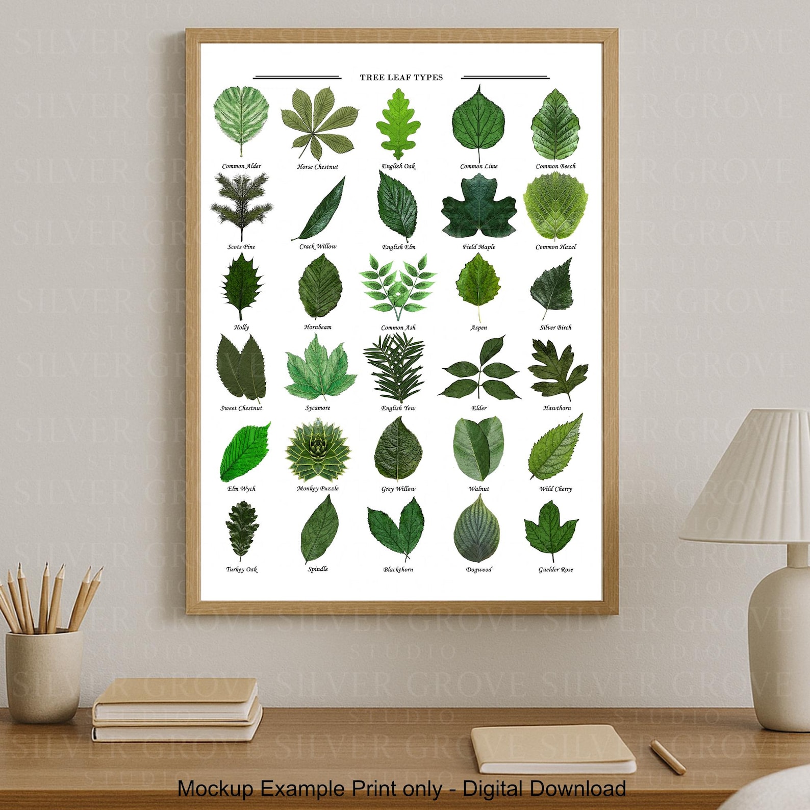 UK Tree Leaf Identification Chart: A3 Nature Poster (digital Download ...