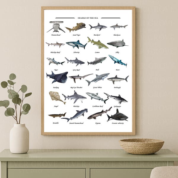 Shark Posters for Kids - Etsy