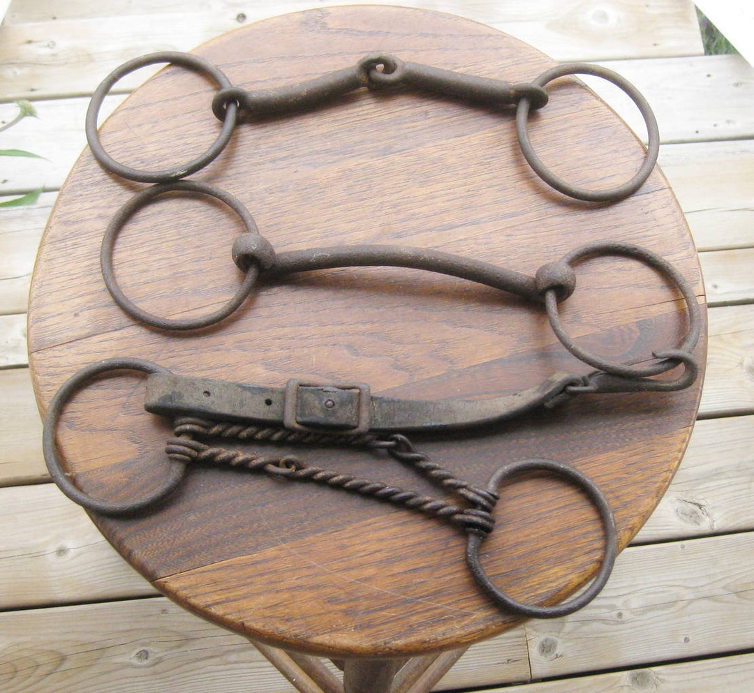 3 Antique Rusty Horse Bits, Leather Strap Bridle Parts Garden Art Decor ...
