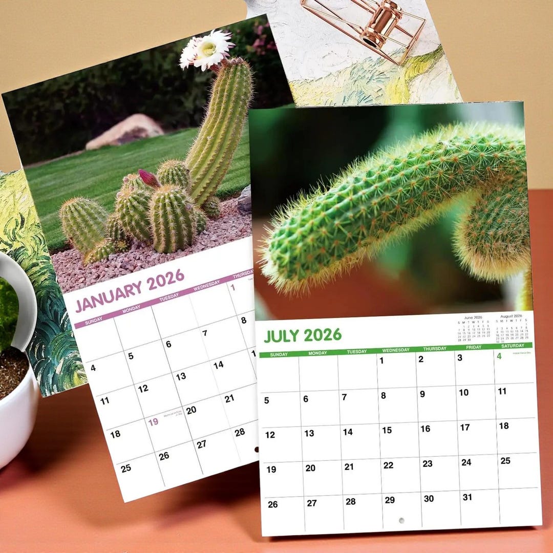 Funny Adult Wall Calendar – 12 Months of D*ck Jokes | Cheeky Gag Gift ...