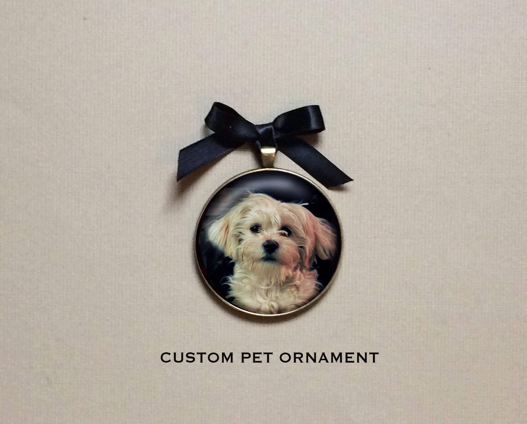 Dog Dandy Print - Dog Portrait - Dog Art - Animal Portrait - Victorian ...