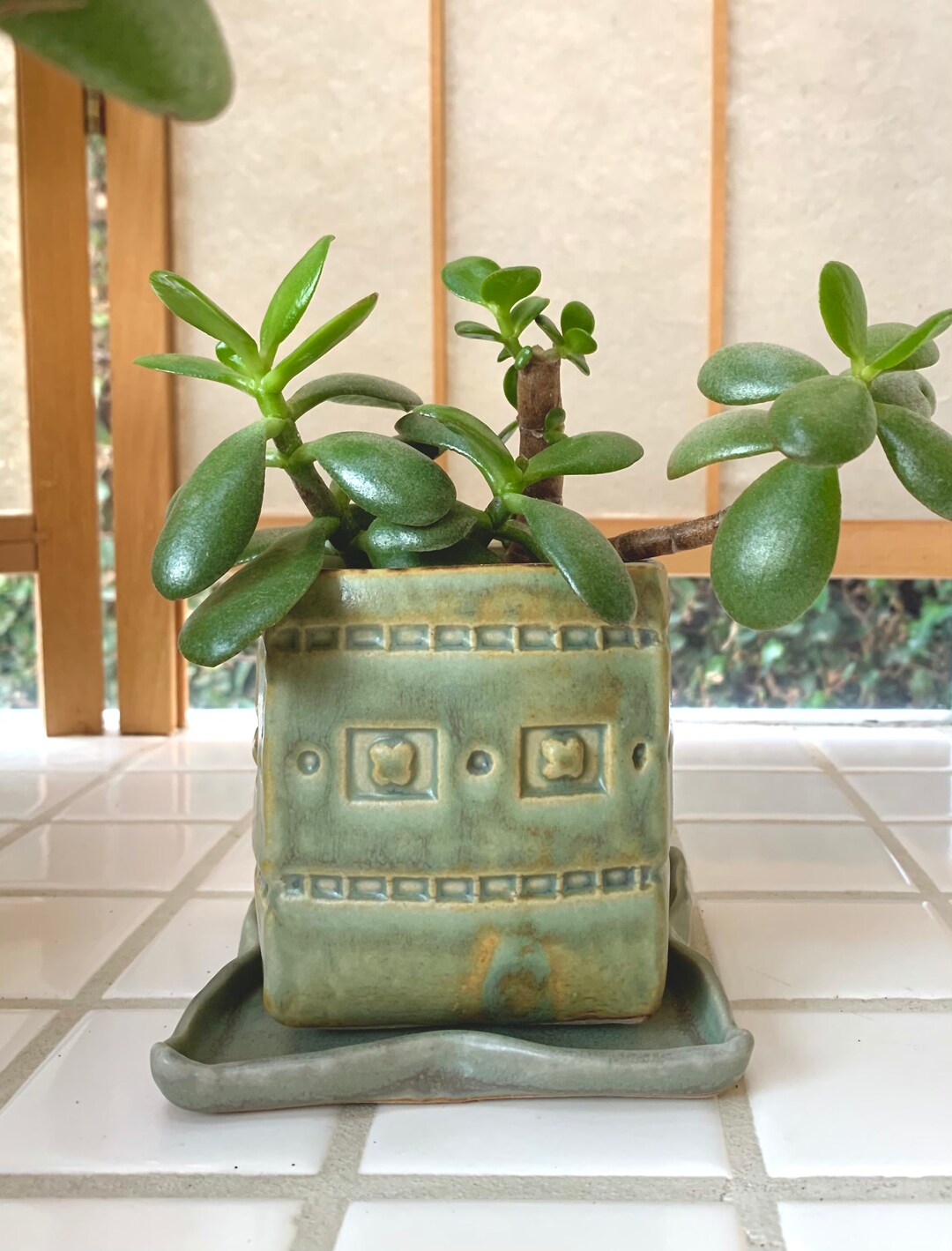 Jade Like Square Planter - Etsy