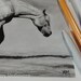 Merle. Fine Art Print. - Etsy