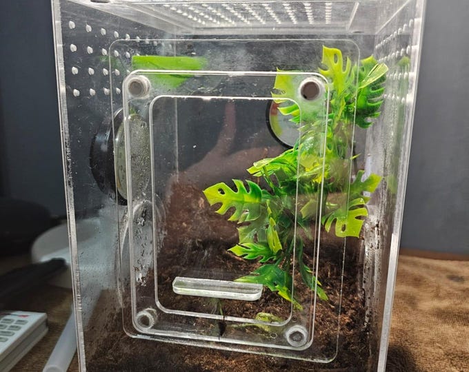 Reptile Enclosure, Tarantula Cage, 10 Gallon Size, Gecko, Terrarium ...