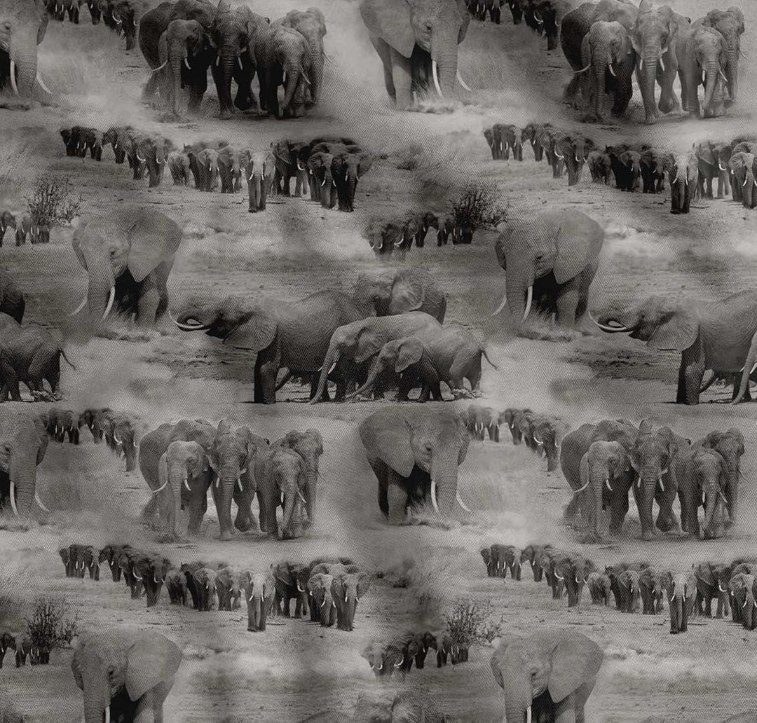 Gray Elephant Print Cotton Fabric, Quilting Material by the Yard - Etsy