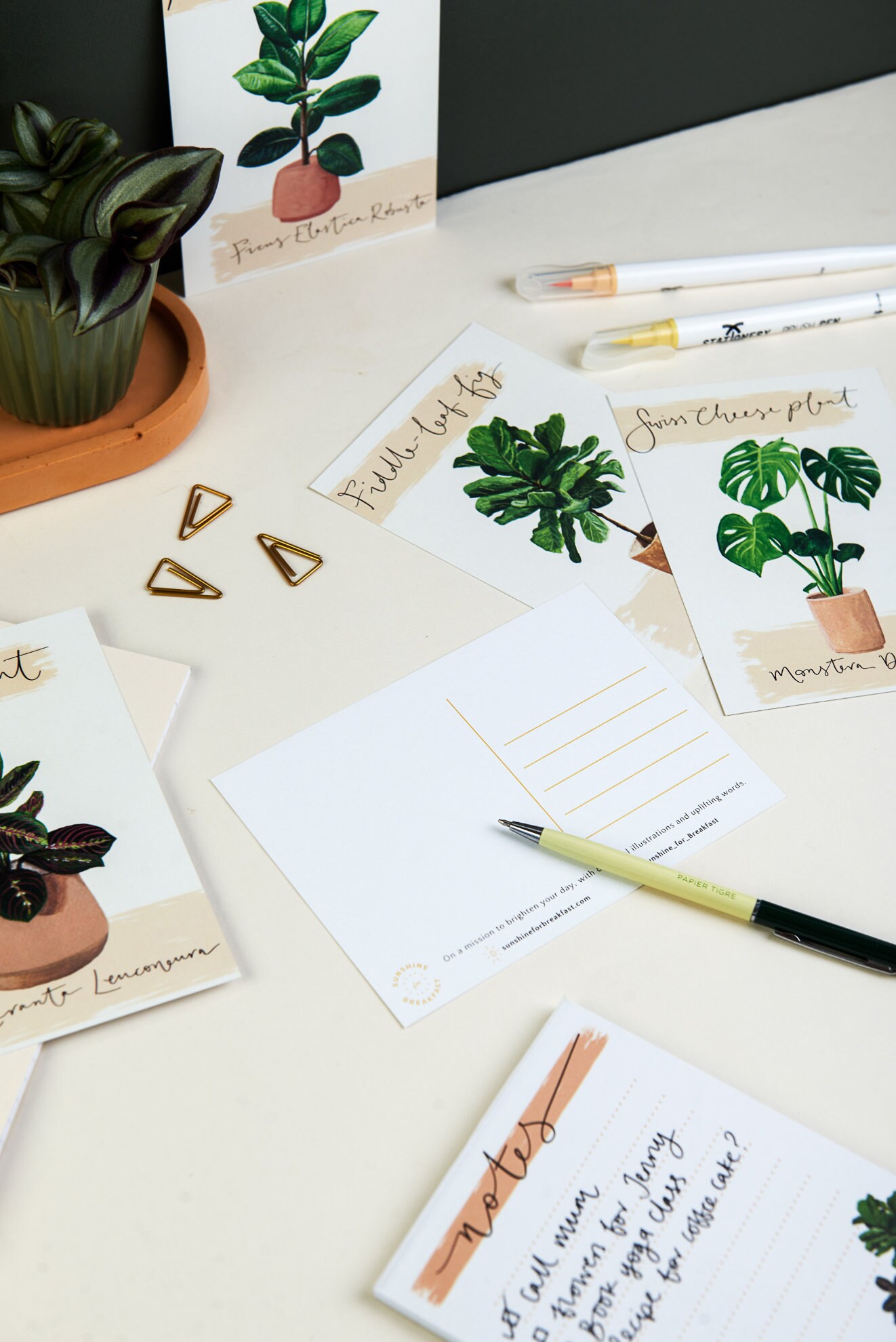 Rubber Plant Postcard - Illustrated House Plant Gift by Sunshine for ...