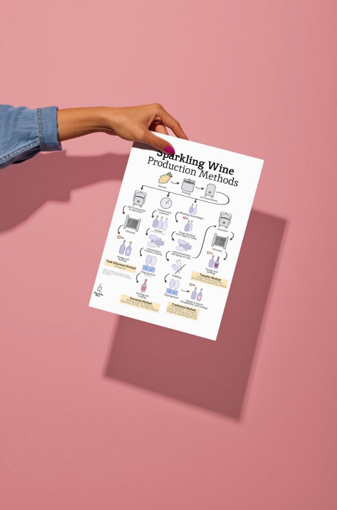 Sparkling Wine Production Methods (chart) - Etsy