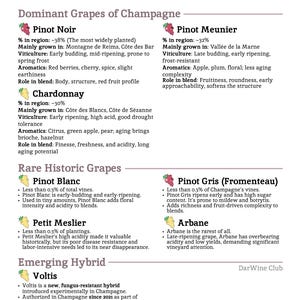 Champagne Grapes - Etsy