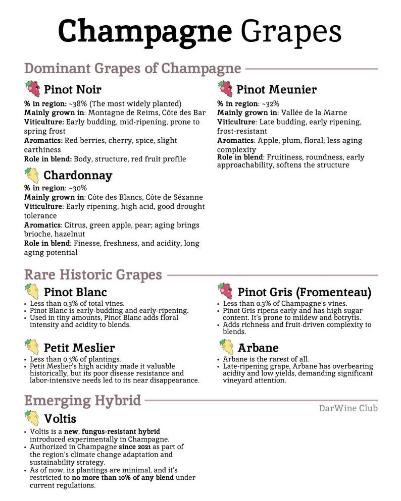 Champagne Grapes - Etsy