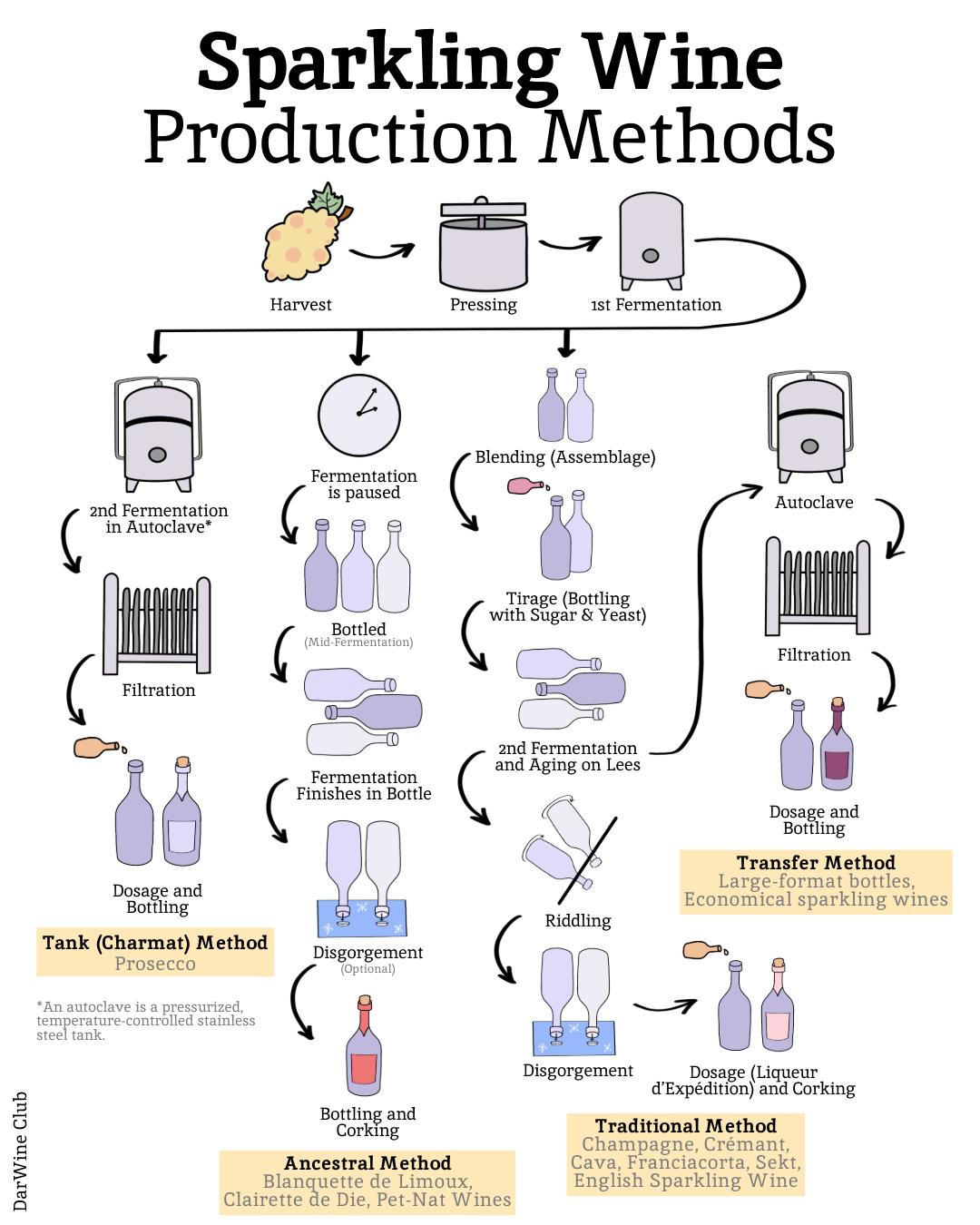 Sparkling Wine Production Methods (chart) - Etsy