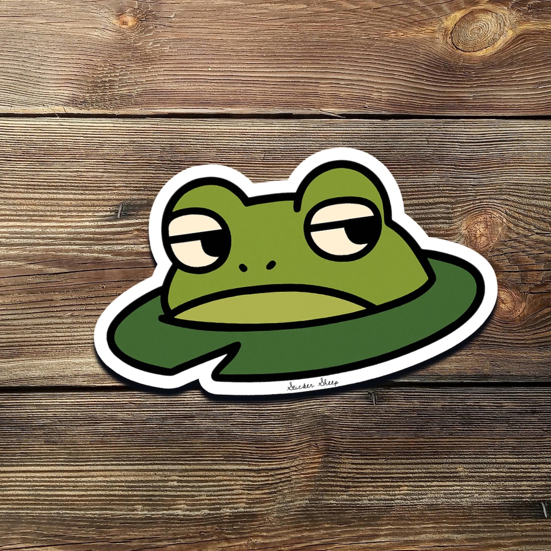 Suspicious Frog Sticker: Funny Sassy Vinyl Decal - Etsy