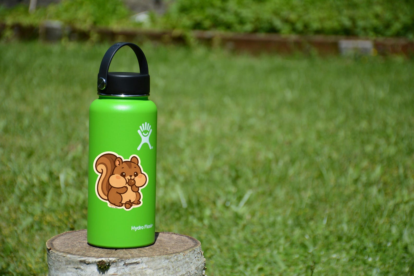 Cute Chipmunk Eating Acorns Sticker – Kawaii Woodland Animal Vinyl ...