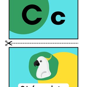 Aussie Animal Alphabet Flashcards: Australian ABC Printable (digital ...