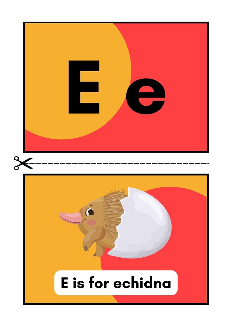 Australian Alphabet Flashcards for Kids | Aussie Animal ABC Cards ...