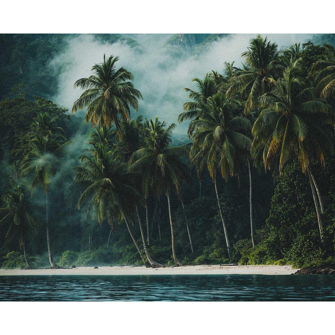 Jungle Mist & Palm Dreams – Nature Photography Print | Hawaii Landscape ...