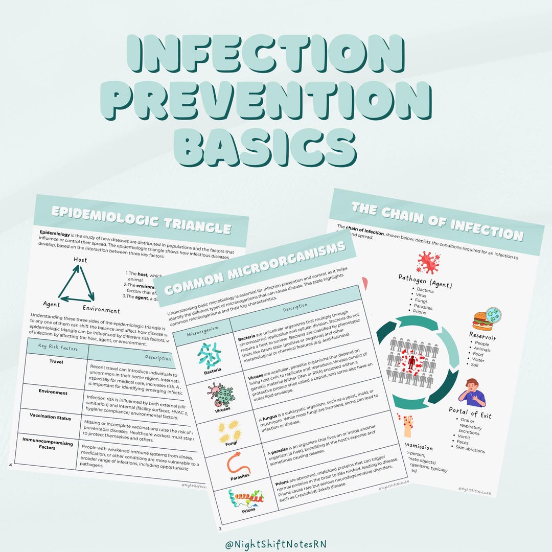 Infection Prevention and Control Basics Study Guide for Nursing and ...