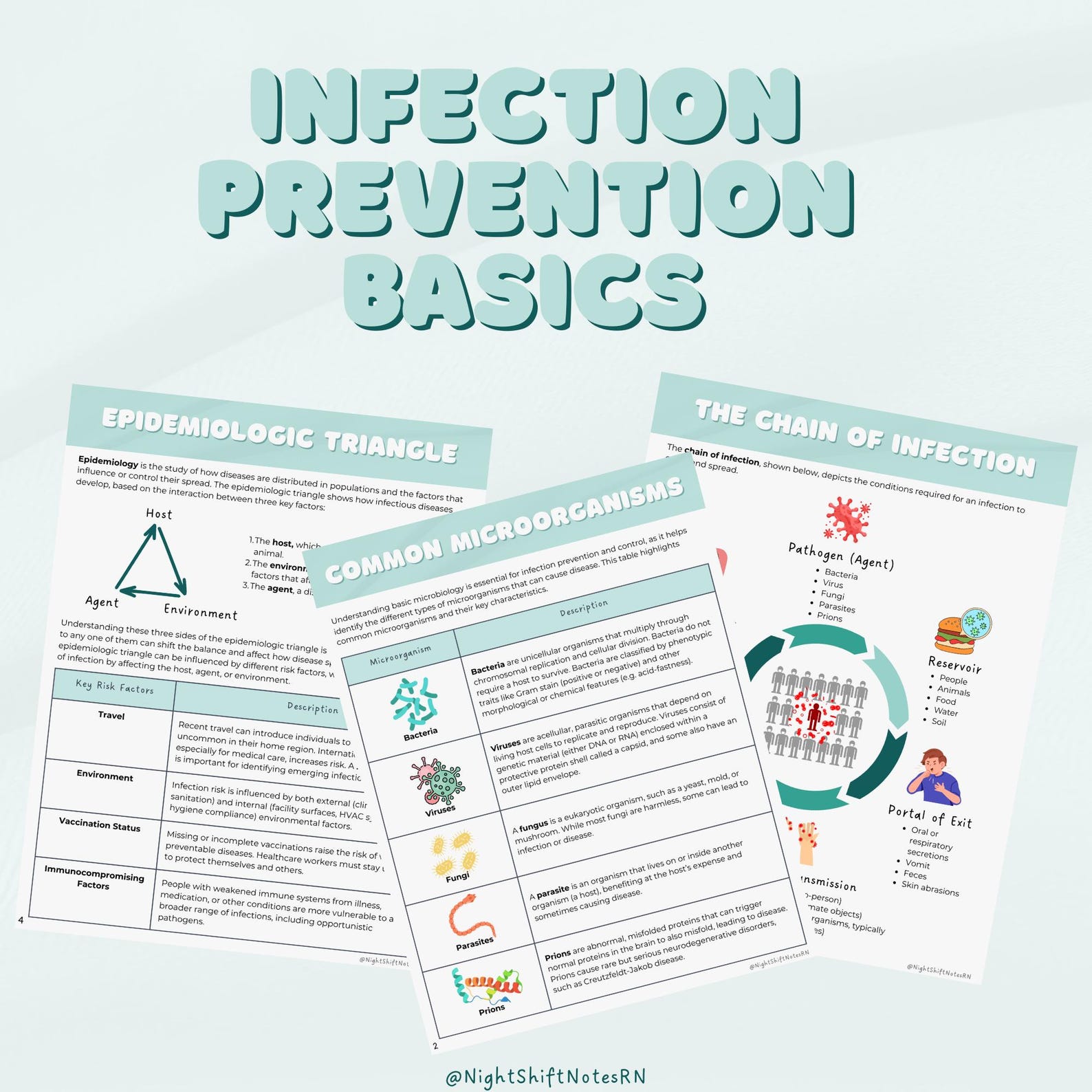 Infection Prevention and Control Basics Study Guide for Nursing and ...