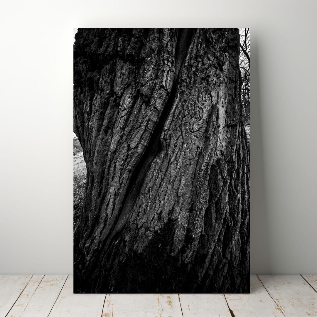 Tree Trunk Wall Art – Black and White Nature Photography Print, Digital ...