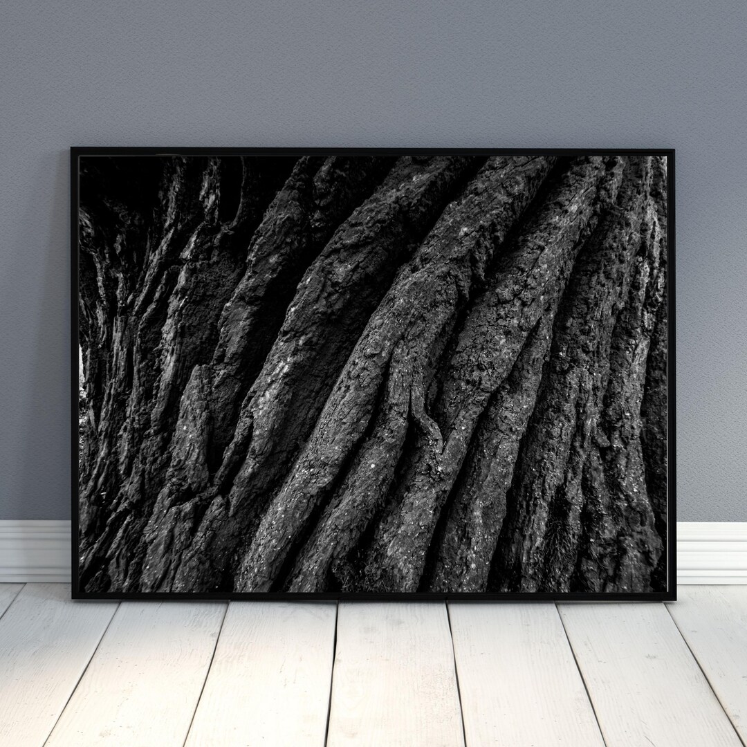 Black and White Tree Texture Print – Abstract Bark Photography, Digital ...