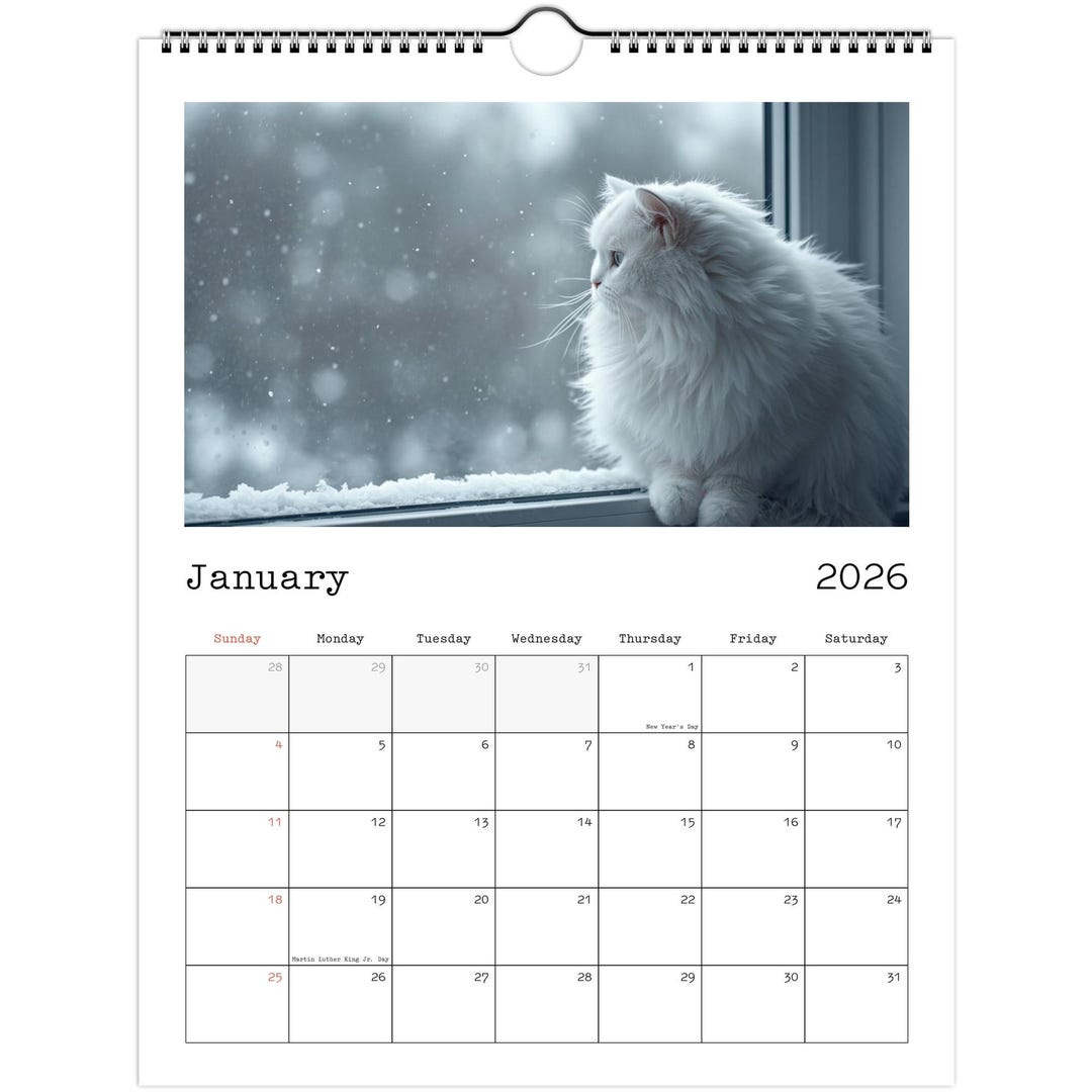 2026 Cat Lover Wall Calendar Gift for Cat Lovers (8.5"x11") Ships to US ...