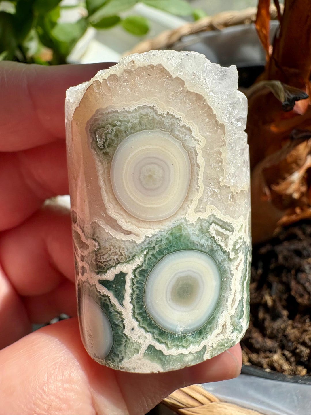 Ocean Jasper Core: Green Druzy Quartz, Double Orb Feature - Etsy