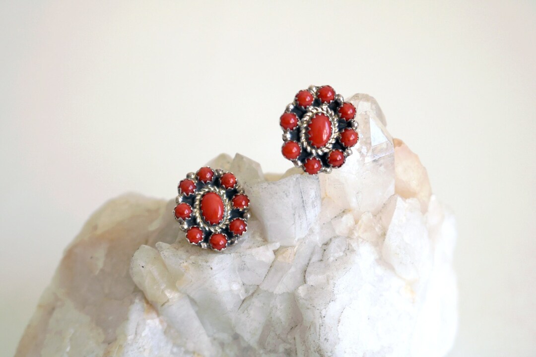 Native American Coral Snake Eye Earrings - Etsy