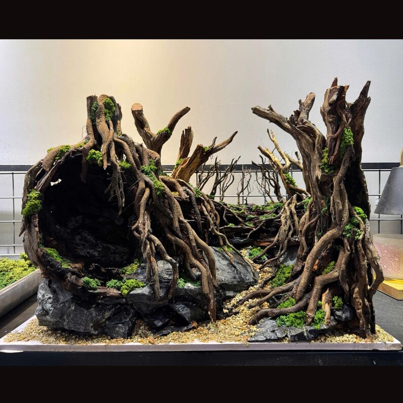 Handcrafted Jungle Aquascape Decor, Realistic Rainforest Aquarium ...