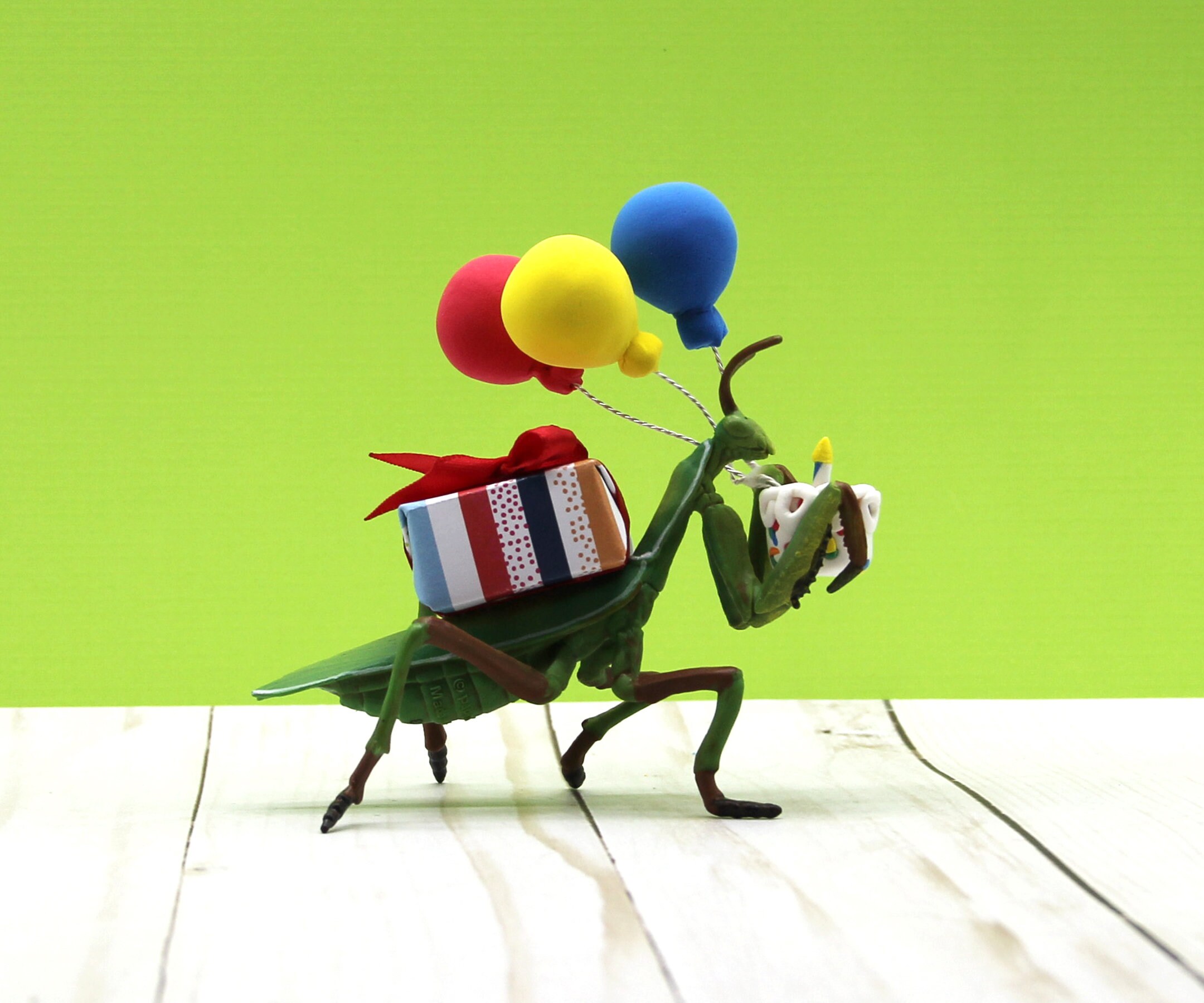 Praying Mantis Cake Topper Praying Mantis Birthday Party | Etsy