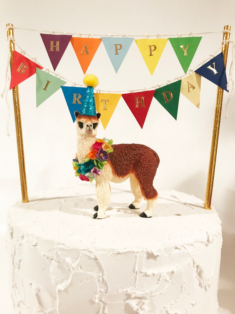 Alpaca Birthday Cake Topper Includes Floral Wreath and Party - Etsy