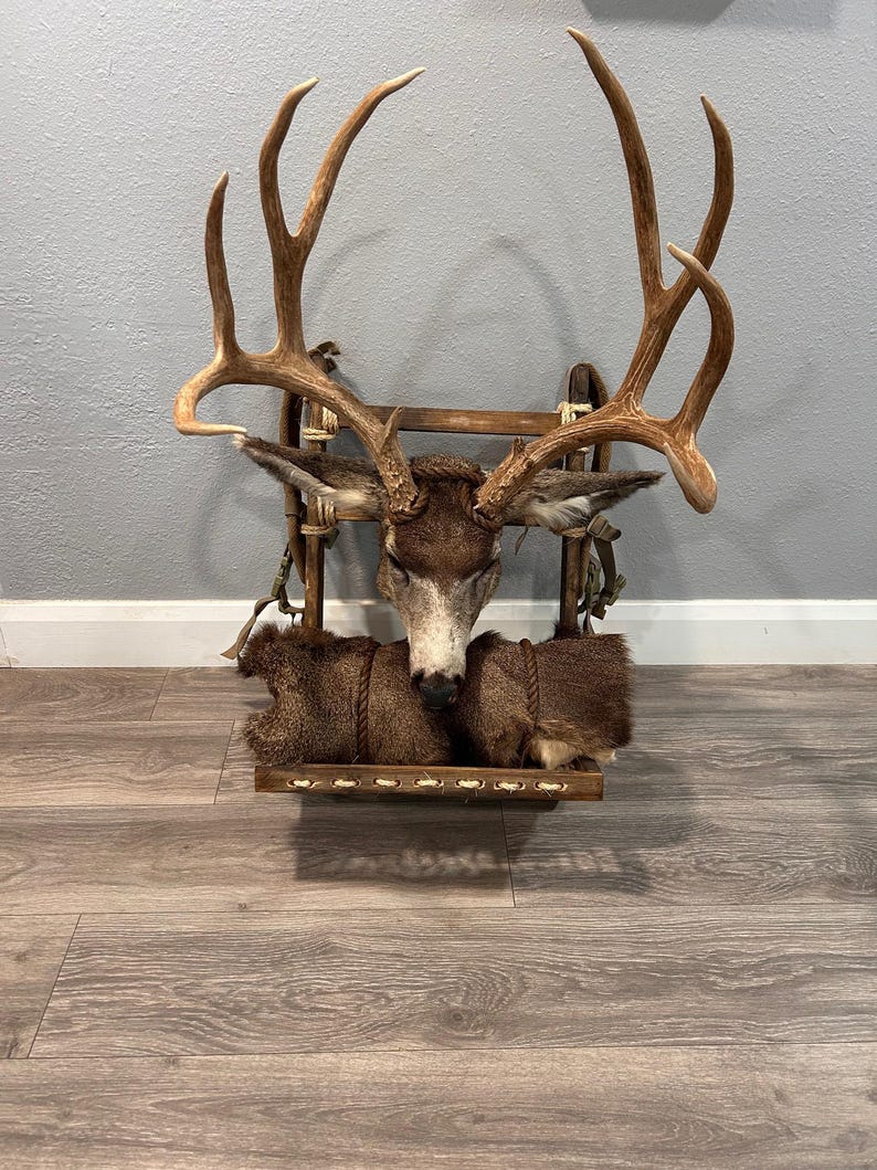 Trophy Mule Deer - Rustic Hunting Backpack Mount for Lodge, Cabin ...