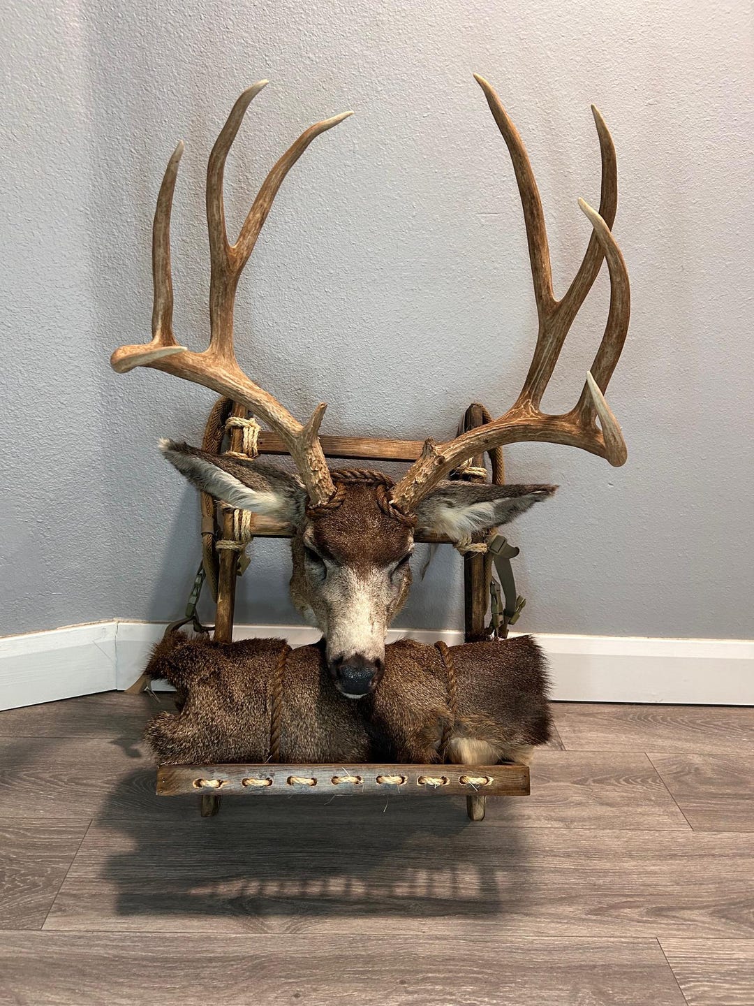 Trophy Mule Deer - Rustic Hunting Backpack Mount for Lodge, Cabin ...