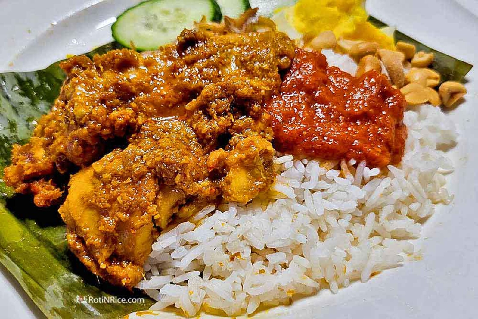 Chicken Rendang Recipe Card (printable PDF) - Etsy