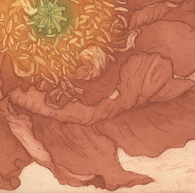 Colibri Poppy, Original Etching - Etsy